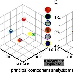 PCA for the results of the material rating task.