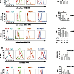 Activation/maturation marker expression in bystander DCs.