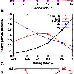 Switching path preferences using binding factors.