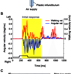 High-speed monitoring of wind-elicited locomotion using a spherical ...