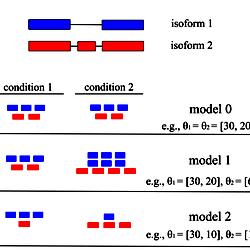 Illustration of the three models.