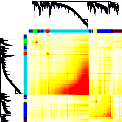 Heat map of genes.