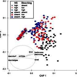 CAP ordination of modelled reef state showing the interaction between ...