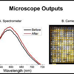 Spectral LSPR data versus LSPRi.