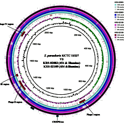 Circular maps from NGS comparing the genomes of S. parauberis strains ...
