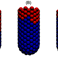Snapshots of the 3D crypt model following elimination of cell division.