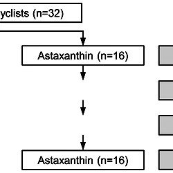 Flow chart of the trial.