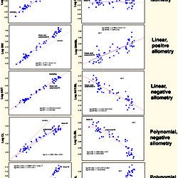 Examples of the range of regression fits plotted as Measure vs. BL ...