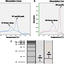 Melting curve analysis and confirmation of H7- and N9-specific ...