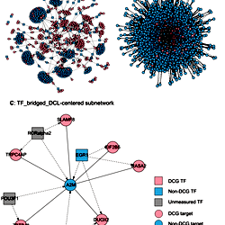 Example DRL-centered heterogeneous networks produced using the DRplot ...
