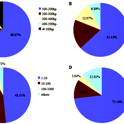 Overview of transcriptome sequence assembly.