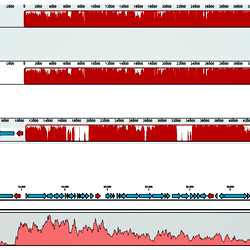 Identification of a VAh-specific genetic region associated with ...