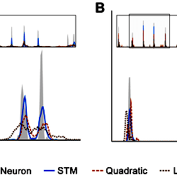 Item - Peristimulus time histograms. - Public Library of Science - Figshare