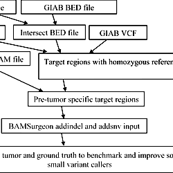 The procedure about how to create simulated tumors by BAMSurgeon from ...