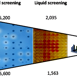 Screening strategy and mutant selection.