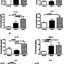 Cytokine Bead array (CBA) analyses of plasma samples.