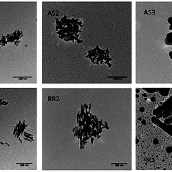 Representative TEM images of rutile rods and anatase spheroids.