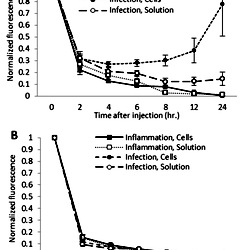 Normalized fluorescence for in vivo imaging of ICG labeled cells and ...