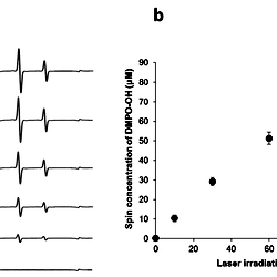 Representative ESR spectra and the yield of DMPO-OH obtained by laser ...