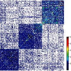Heat map of the pair-wise relationship coefficients among the 303 E ...