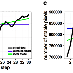 The development of stability over time.