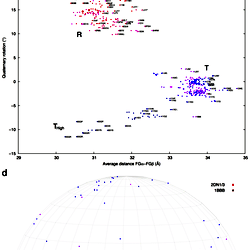 Quaternary rotation.