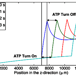 Shows the effect of increasing ATP release times.