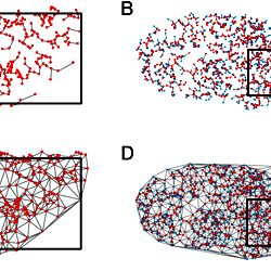Construction of spatial null model networks.