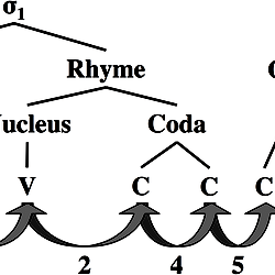 Illustration of the different syllable position-specific task ...