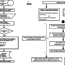 Workflow for data collection, curation and co-expression network analysis.