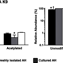 Relative abundance of modifications of sites on histones H2A and H2A1.