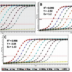 Standard graph showing 10-fold serial dilutions of plasmid DNA ...