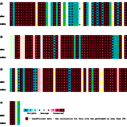Multiple Sequence Alignment Color-Coded by Conservation.