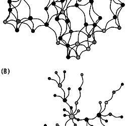 Two example random networks.