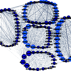 Network with Eigenvector Centrality for all complexes.