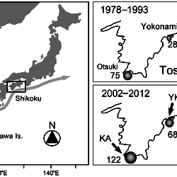 Map of the study site showing the location of Tosa Bay, western Japan.