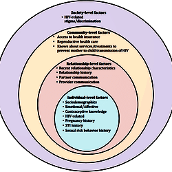 Social-ecological model utilized in this study for evaluating most or ...