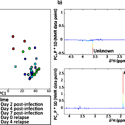 Metabolic profiling of the in vivo mouse relapse model of CDI.