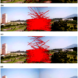 The first experiment on the corner matching efficiency: (a) Selected ...
