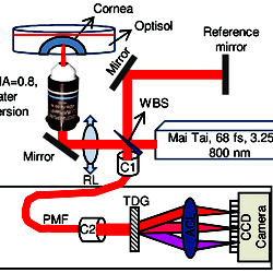 Schematic of the optical system used for corneal dissection and imaging.