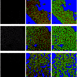 Example results of distance transform-based procedure.