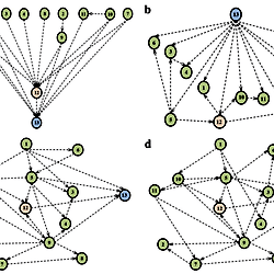 DAG structures learned by different methods.