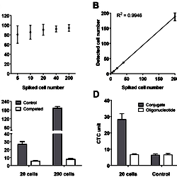 Validation of the ligand-targeted PCR method for CTC detection.