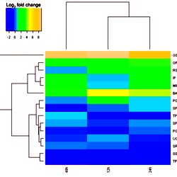 Clustering analysis of differential gene expression pattern relevant to ...