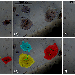 Segmentation examples.