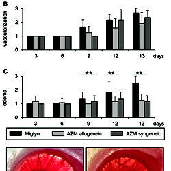 Clinical graft evaluation of AZM compared to miglyol.