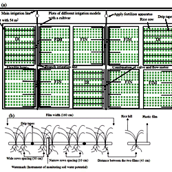 Experimental layouts and sketch map of the planting mode under the non ...