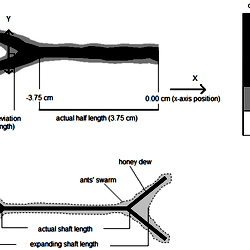 Schematic figures to explain the data analysis and evaluation of ...
