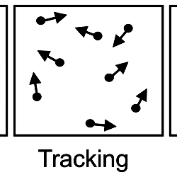 An example of a typical MOT task.