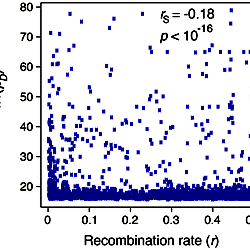 Scatter plot of the maximum value of −ln(pD) in every patch across all ...